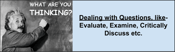 What Does It Mean To Evaluate In An Essay